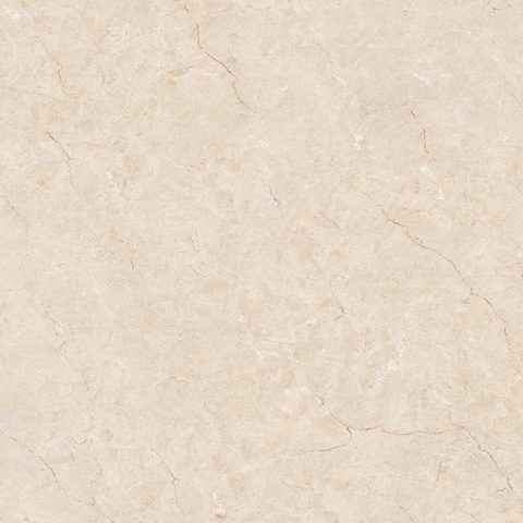 Lexolite Ceramic a Porcelain Tiles and Vitrified Tiles Manufacturer